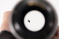 The Mystery of the Fly in the $2,100 'Weathersealed' Lens | PetaPixel