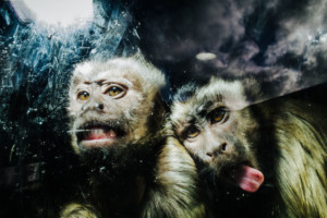 Shooting Dreams and Nightmares: An Interview with the Bragdon Brothers ...