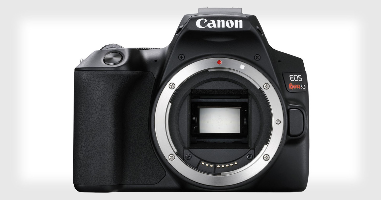 Canon Rebel SL3: A Tiny DSLR with 4K, Dual Pixel AF, and Eye Detection ...