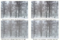 Low Contrast Photography and How to Correct it in Post-Processing ...