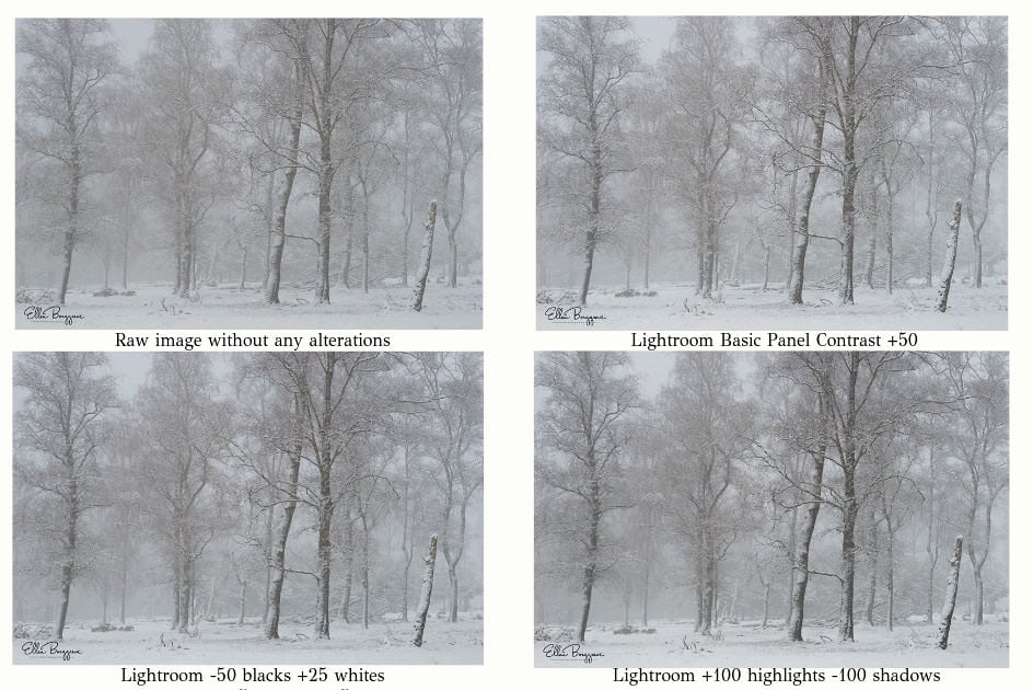 Low Contrast Photography and How to Correct it in Post-Processing ...