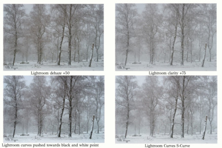Low Contrast Photography and How to Correct it in Post-Processing ...