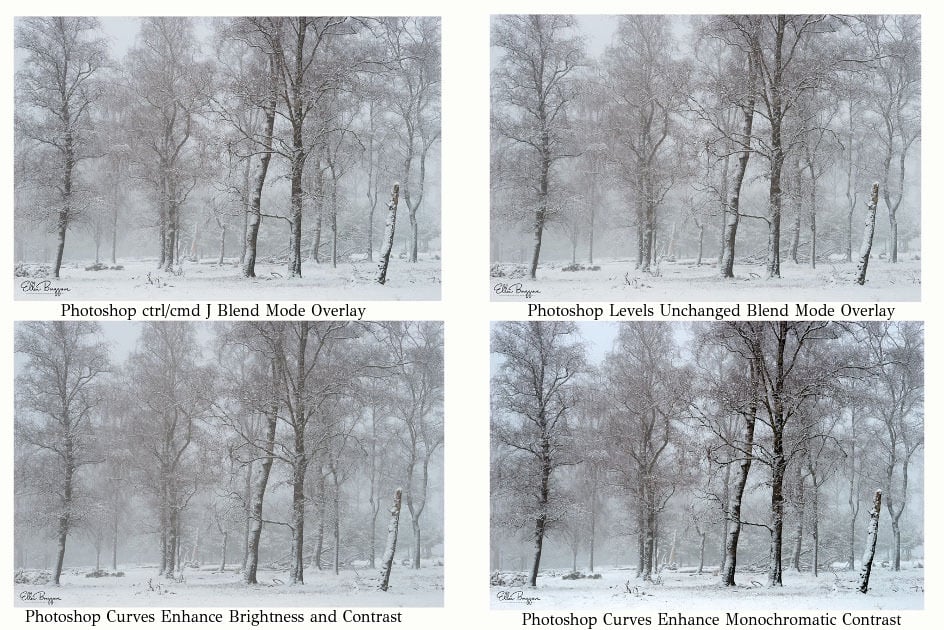 Low Contrast Photography and How to Correct it in Post-Processing ...