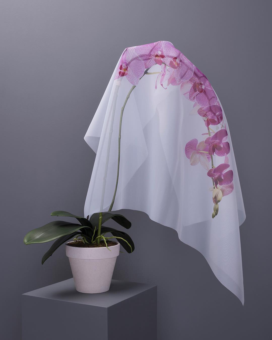 Photos of Unusual Household Objects That Make You Look Twice | PetaPixel