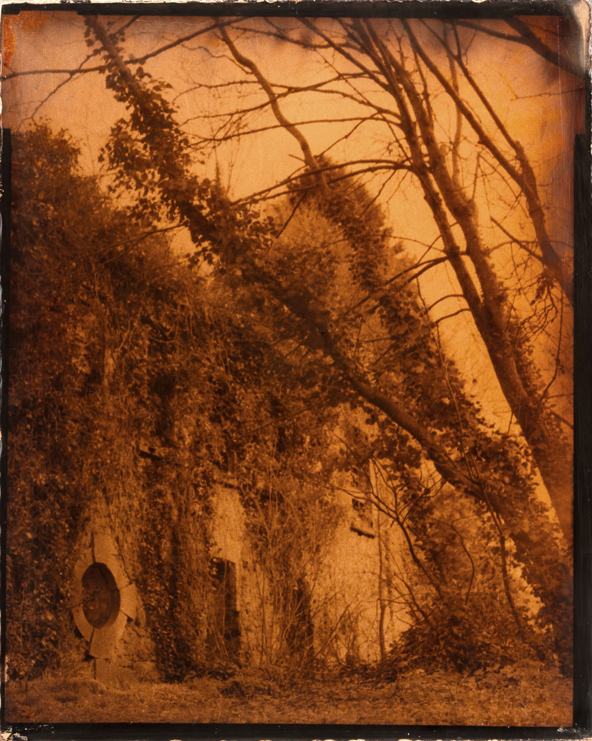 Rediscovering the Orotone | PetaPixel