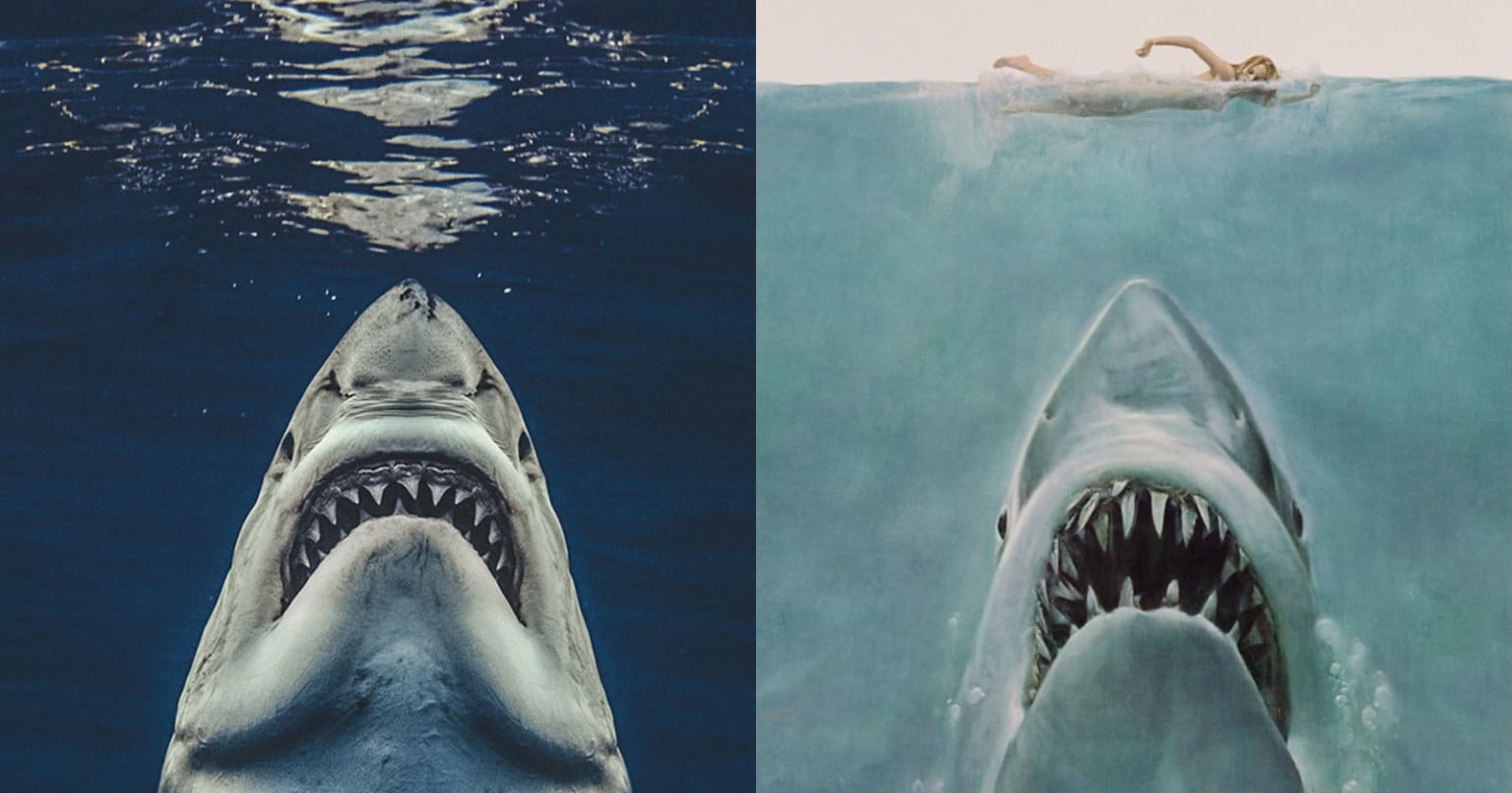 Photographer's Shark Photo Recreates Iconic 'Jaws' Movie Poster | PetaPixel