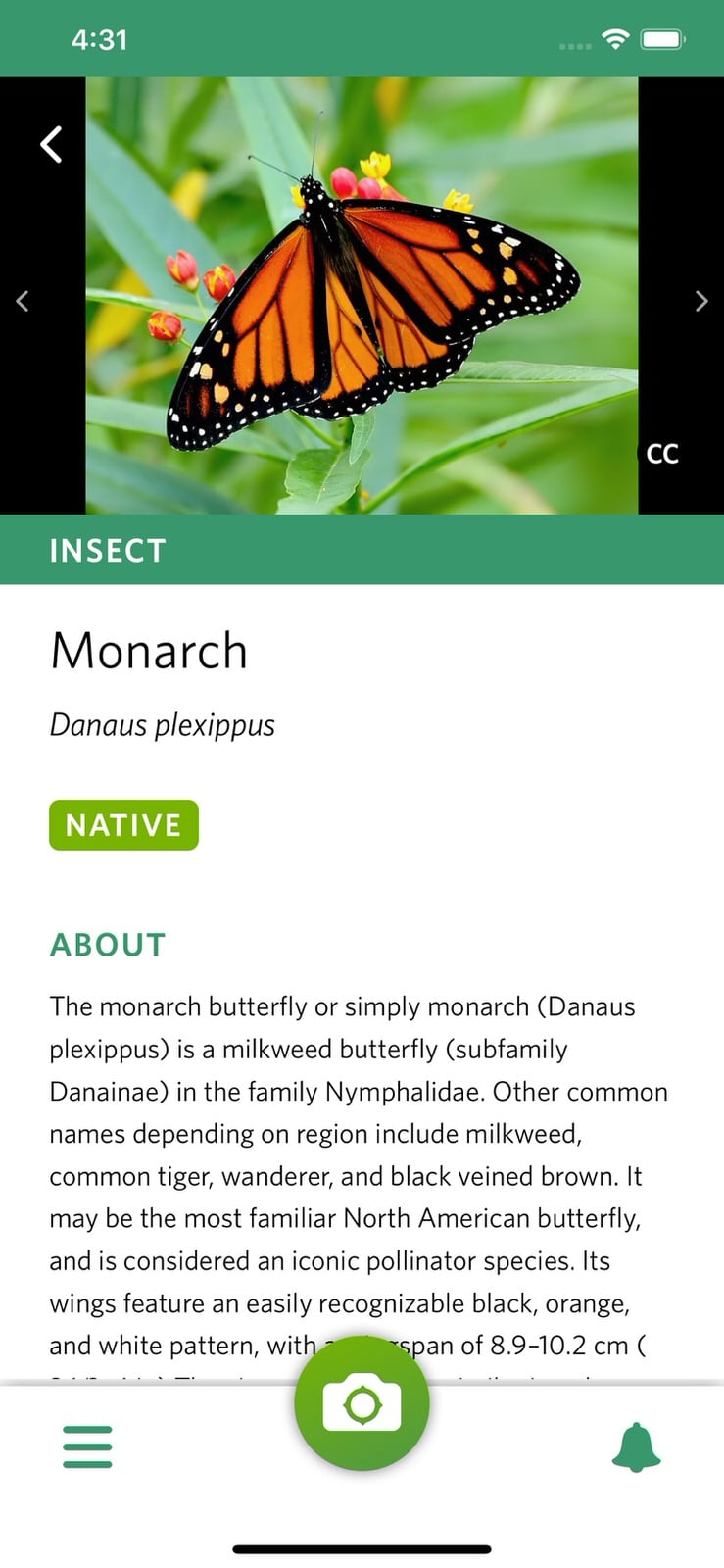 This Free 'Shazam for Nature' App Can Identify Plants and Animals in ...