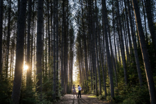 How to Back Up Photos as a Wedding Photographer | PetaPixel