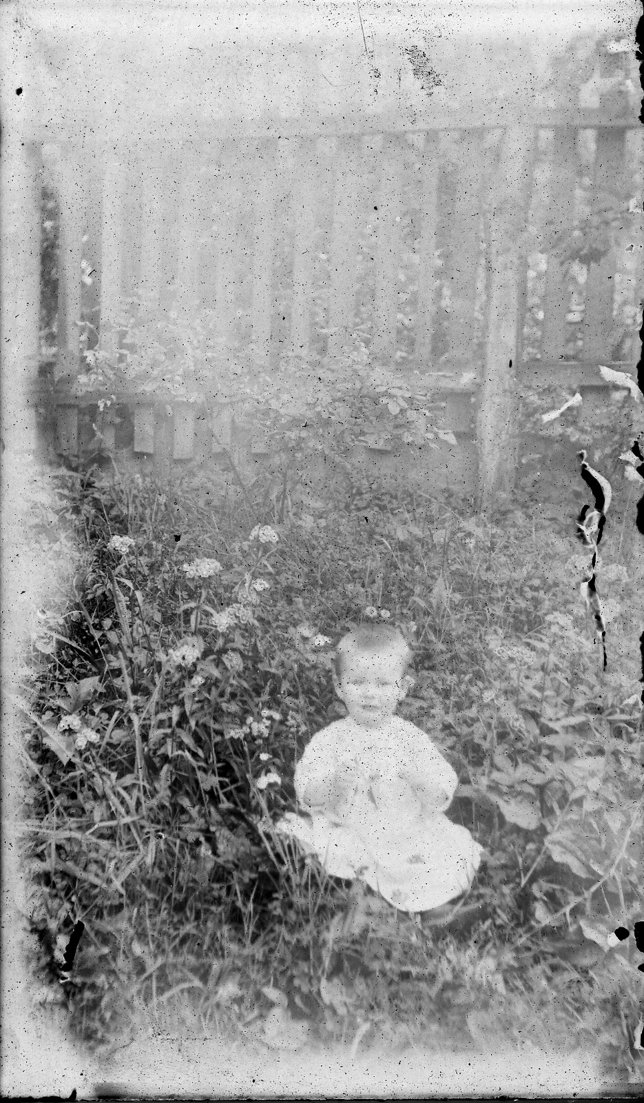 Remembering the Dead: Discovering Century-Old Dry Plate Photos | PetaPixel