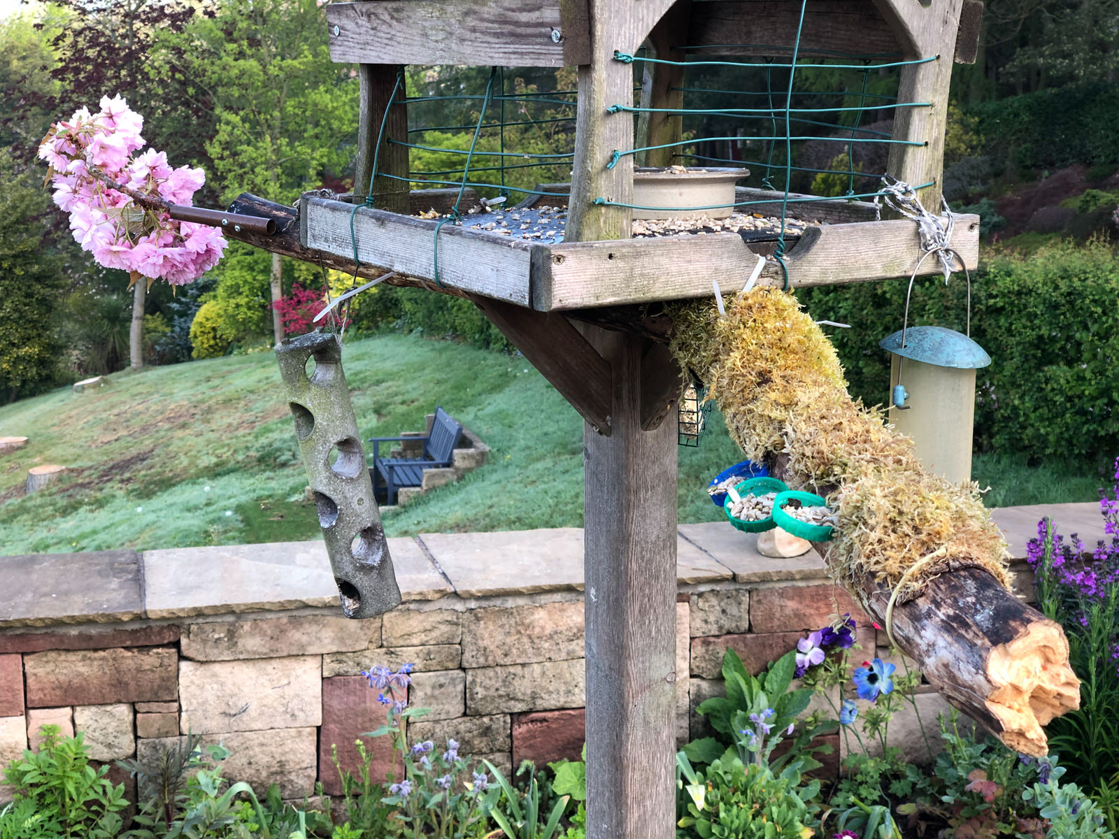 I Photograph Birds in My Backyard by Setting Up Stages | PetaPixel