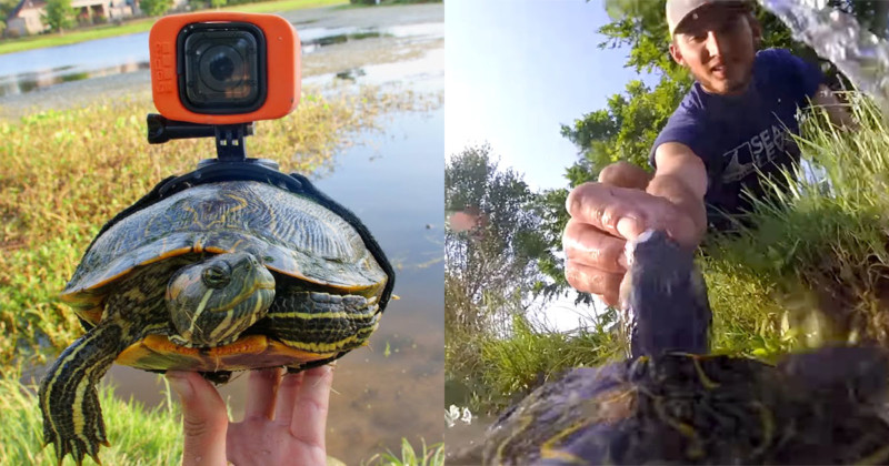 PetaPixel | Page 437 of 1289 | Photography and Camera News, Reviews ...