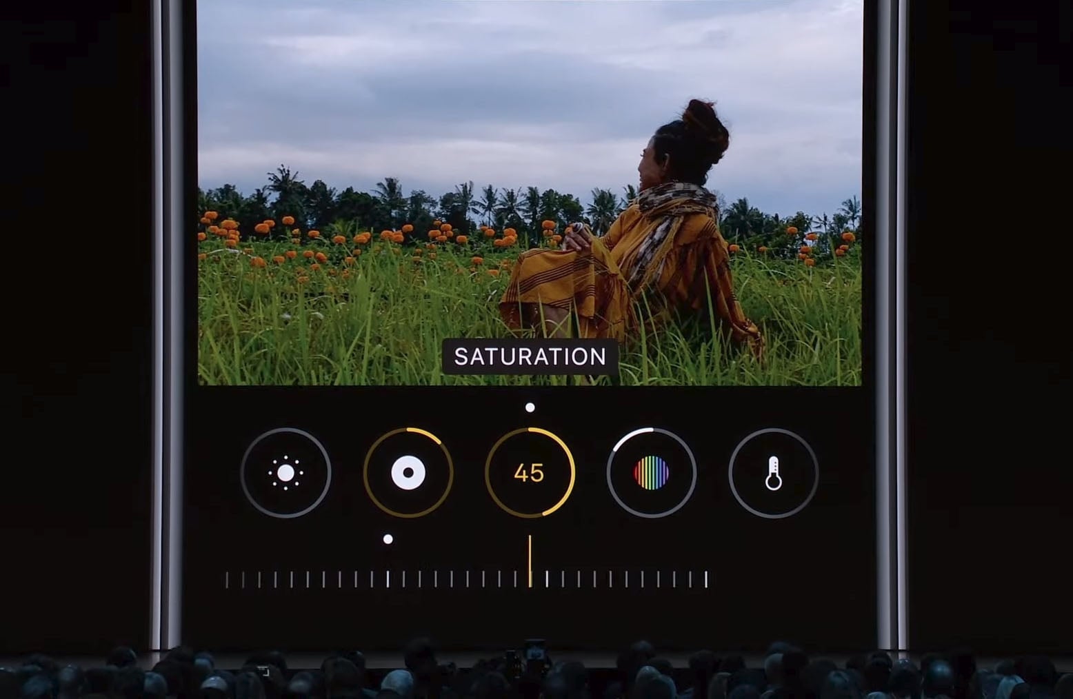 What's New With the iPhone's Camera and Photos Apps in iOS 13 | PetaPixel