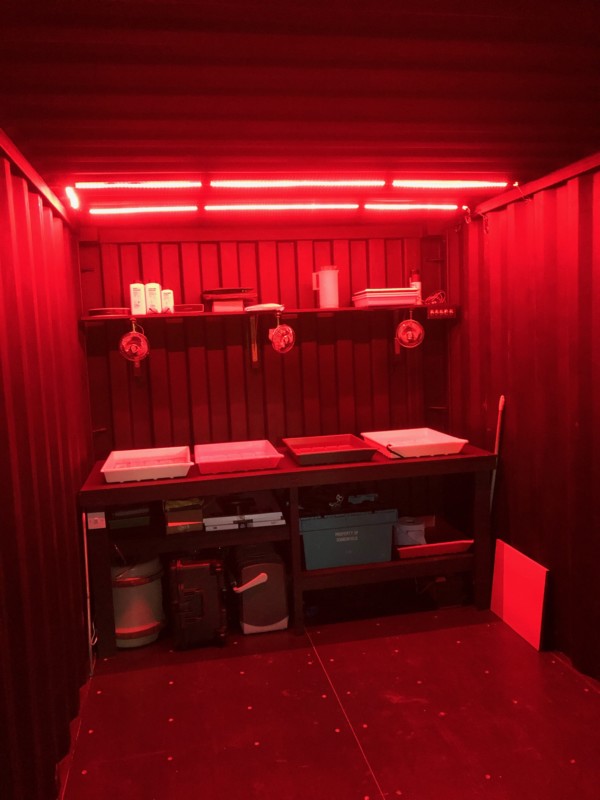 Photographer Turns Huge Shipping Container into Working Camera | PetaPixel