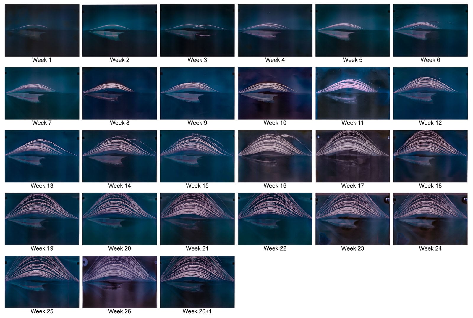 This is the World's First Solargraphy Timelapse | PetaPixel
