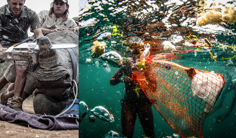 2019 Environmental Photographer of the Year Winners Capture the 'Raw ...