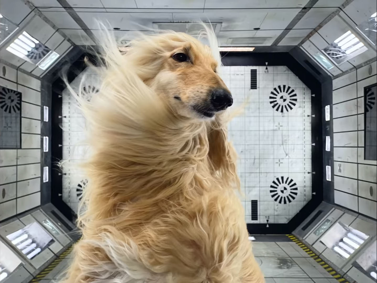 Here's an Apple Ad for iPhone 11 Pro's Triple-Camera System | PetaPixel