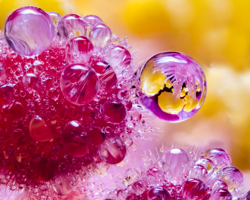 How to Shoot Refraction Macro Photos in Water Drops, Glass Beads and ...