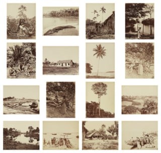 These 150-Year-Old Photos of Brazil's Amazon Sold at Auction for ...