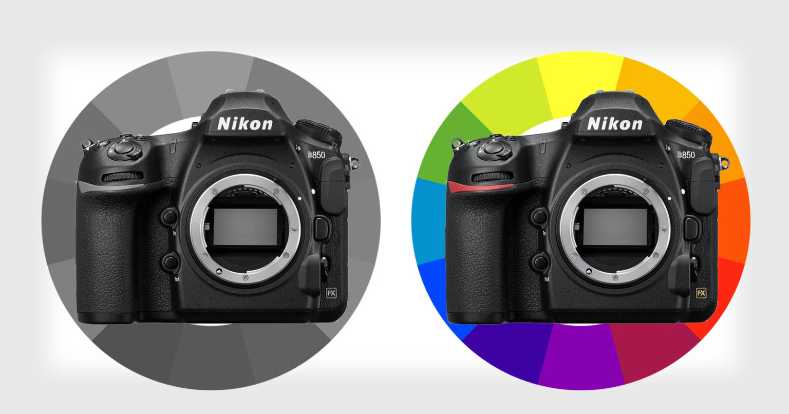 Nikon D850M vs D850: A Comparison of Monochrome and Color DSLRs | PetaPixel