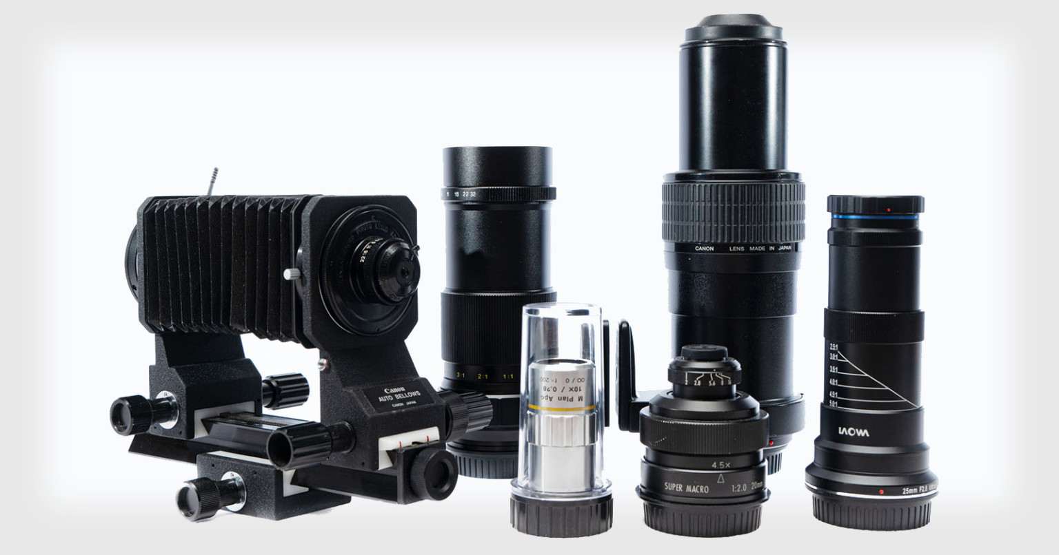 A Comparison Of All High Magnification Camera Lenses PetaPixel