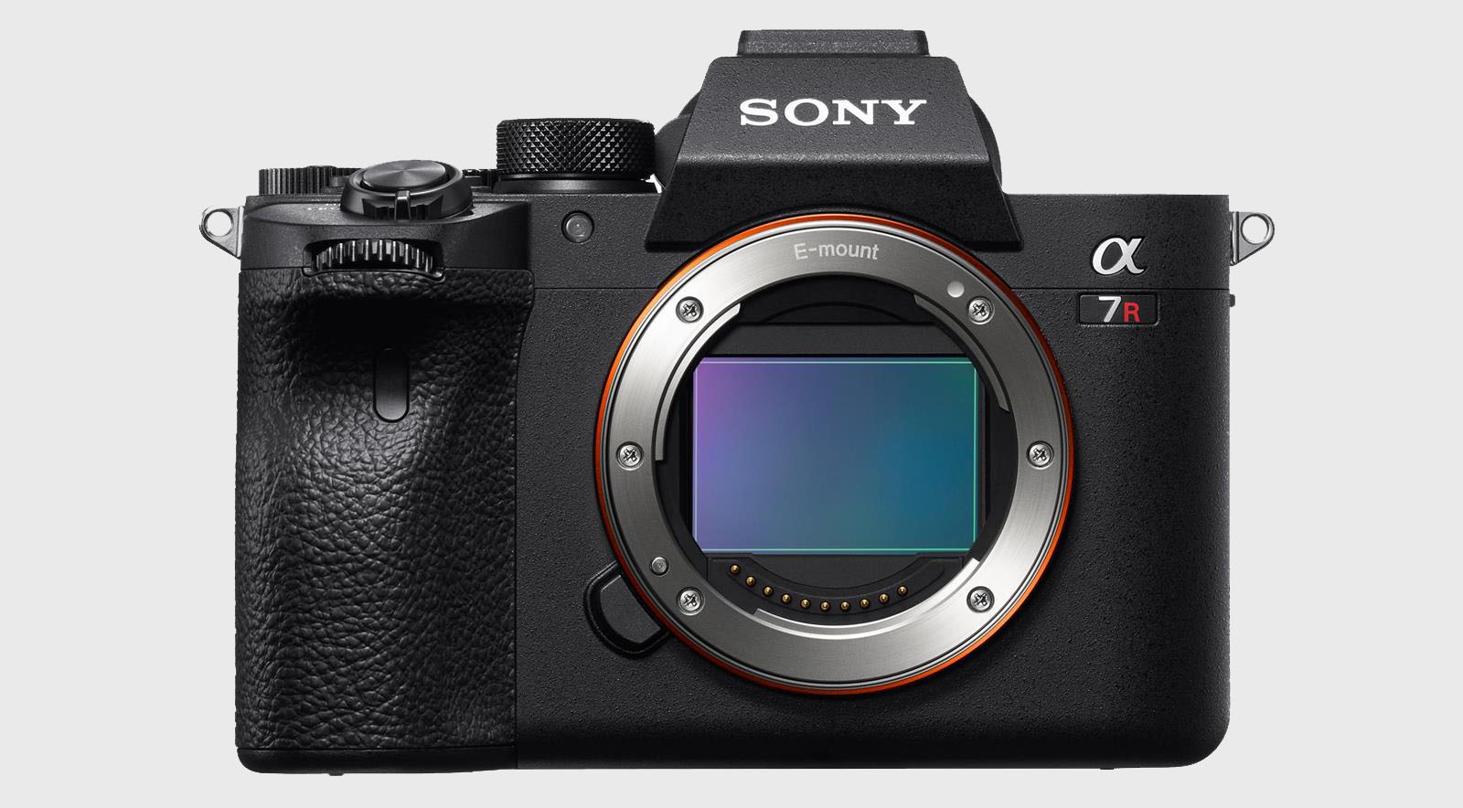 PetaPixel's Cameras of the Year 2019 | PetaPixel