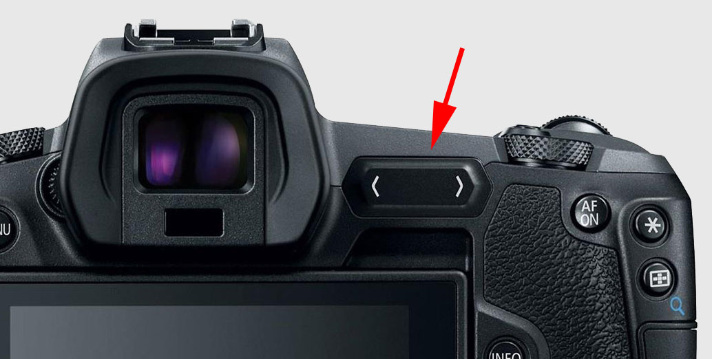 The State of Canon's RF Mount, One Year Later | PetaPixel