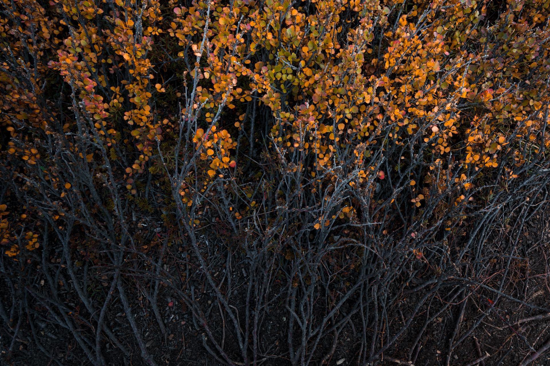 10 Tips for Photographing 'Abstract Landscapes' | PetaPixel