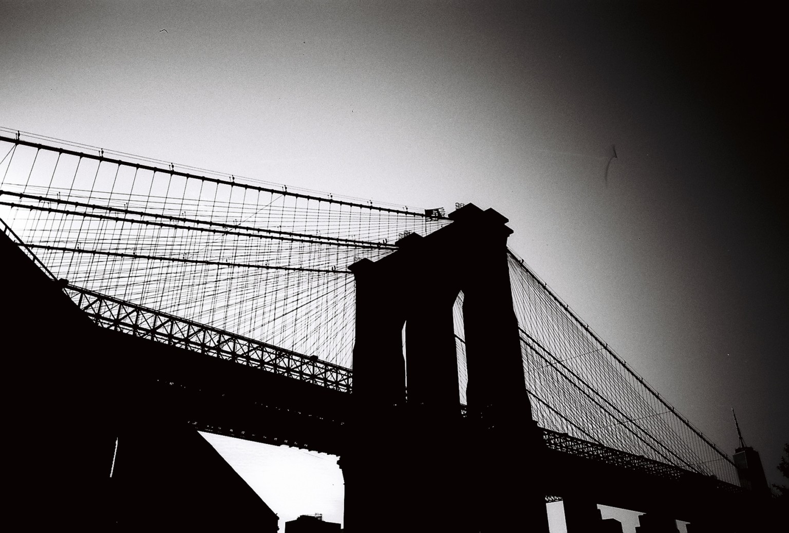 Lomography Unveils New, Super-High Contrast Black and White Film ...