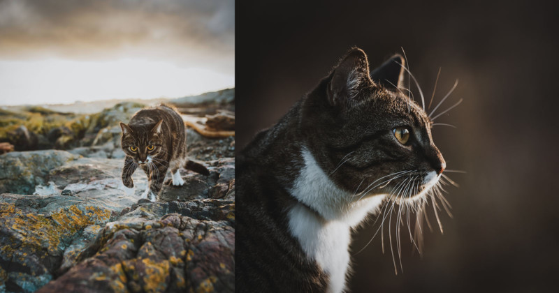 PetaPixel | Page 390 of 1307 | Photography and Camera News, Reviews, and Inspiration