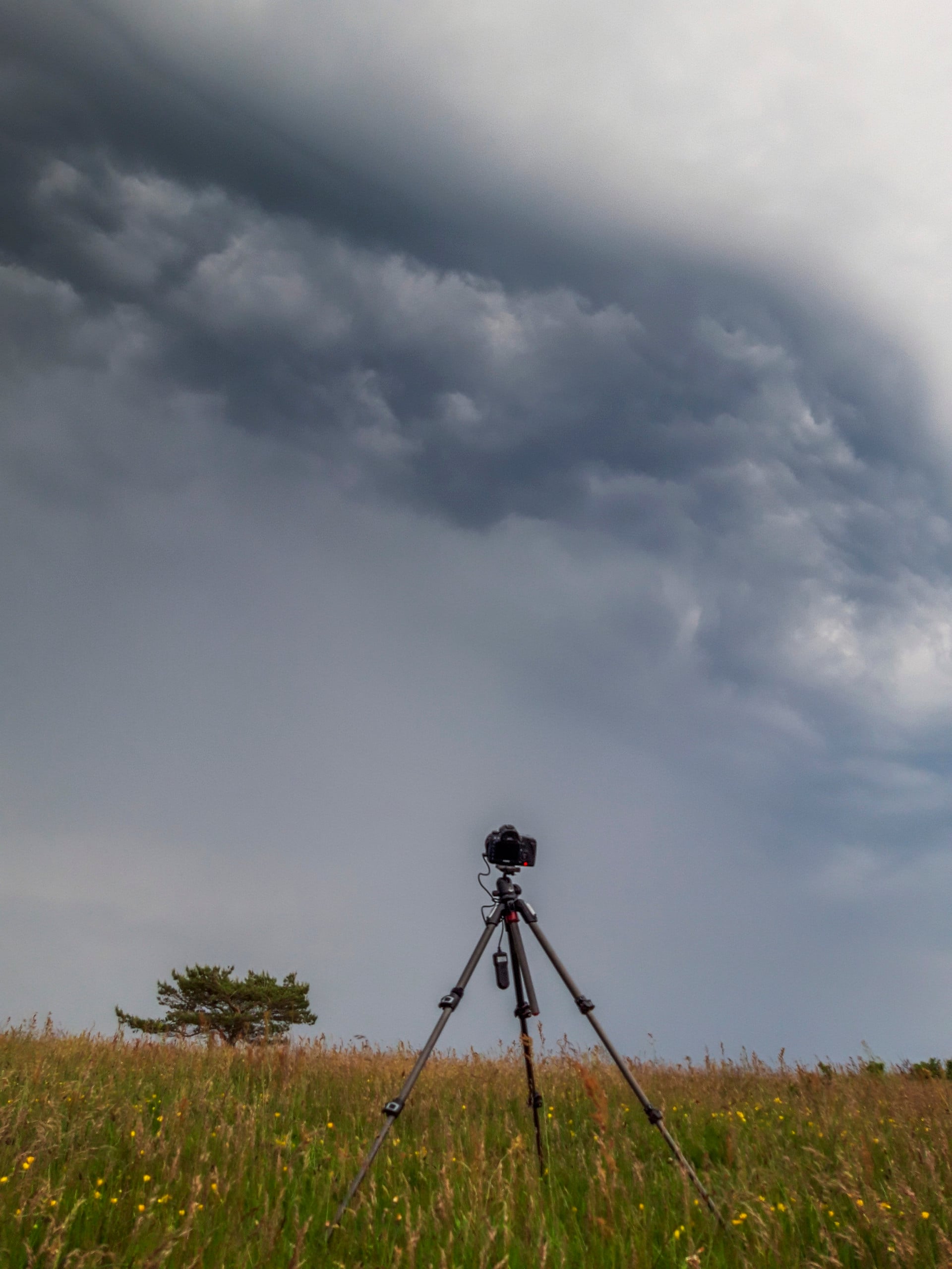 This Beautiful Four Seasons Time-Lapse Took 3 Years to Shoot | PetaPixel