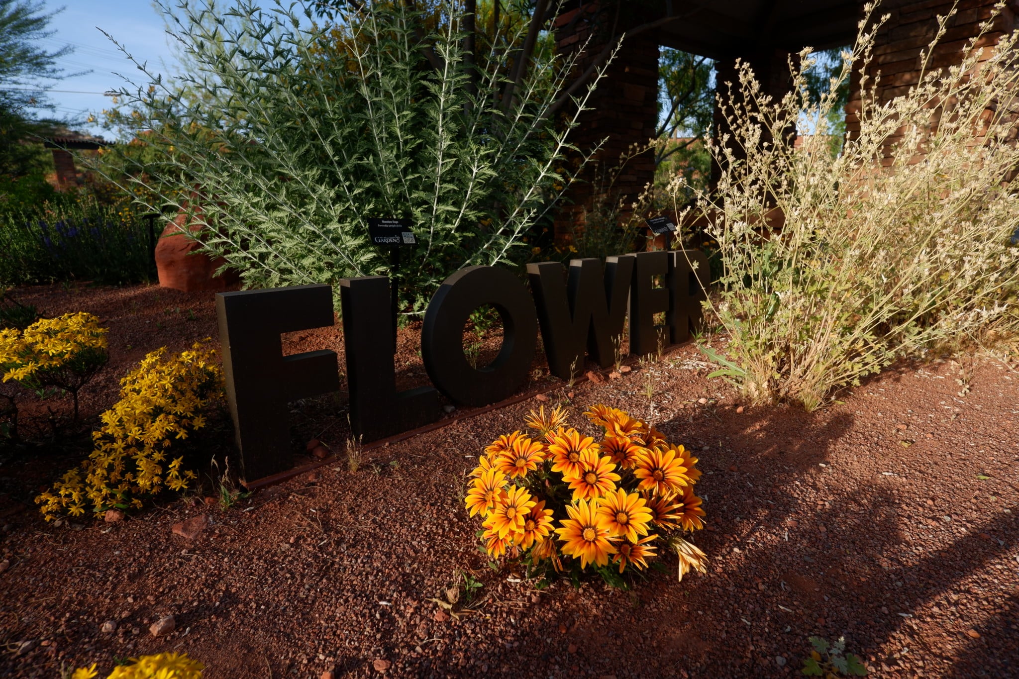 Blind Test: Fujifilm X-Trans vs Bayer Filter, Which is Better? | PetaPixel