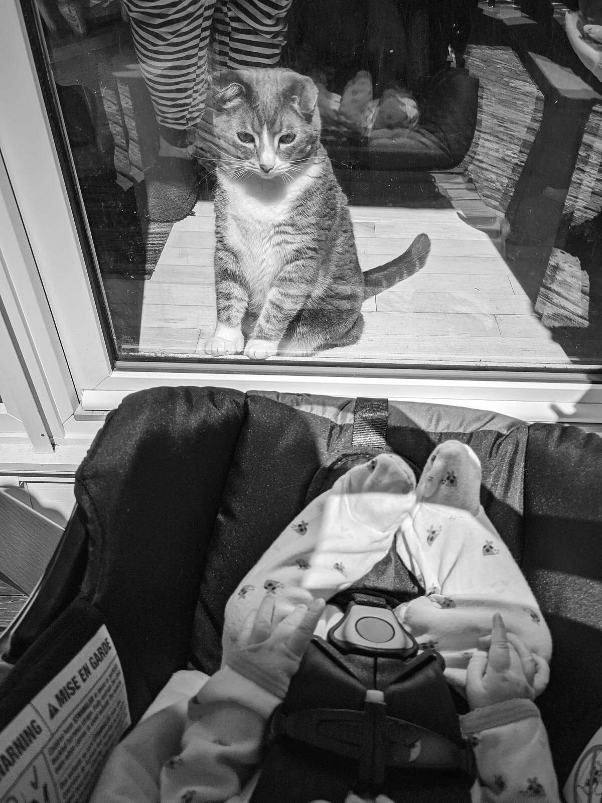 Quarantine Baby: Photos of a Life Born Into Social Distancing | PetaPixel