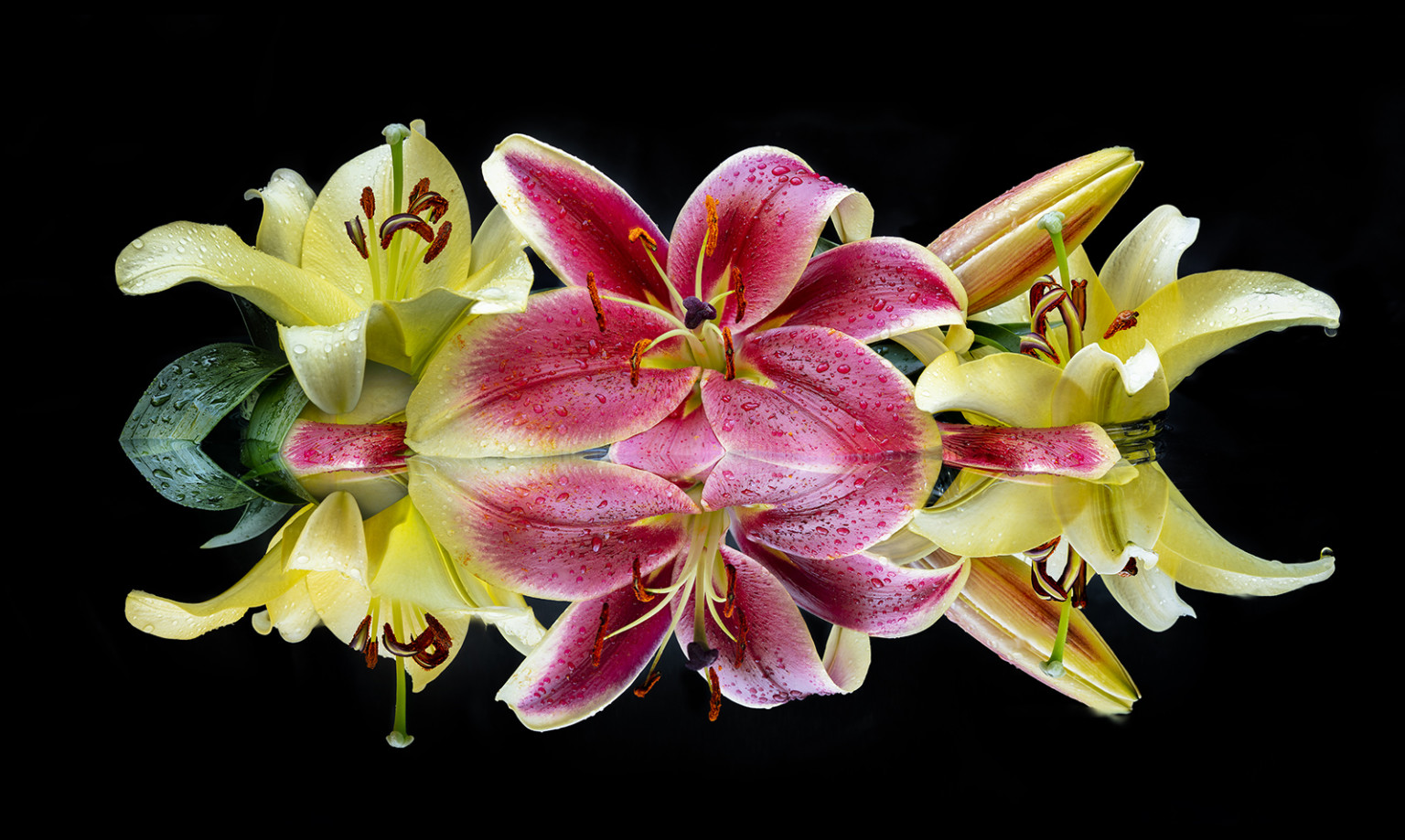 Photographer Uses DIY Reflecting Pool to Capture Beautiful Flower ...