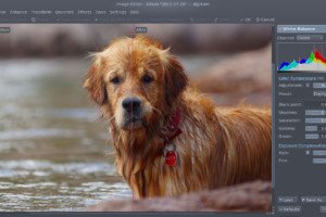 PetaPixel - Photography and Camera News, Reviews, and Inspiration