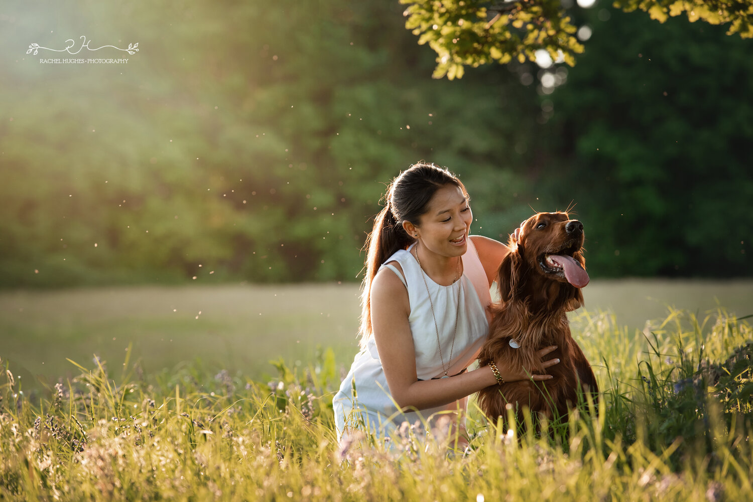 10 Tips for Taking Better Photos of Your Dog | PetaPixel