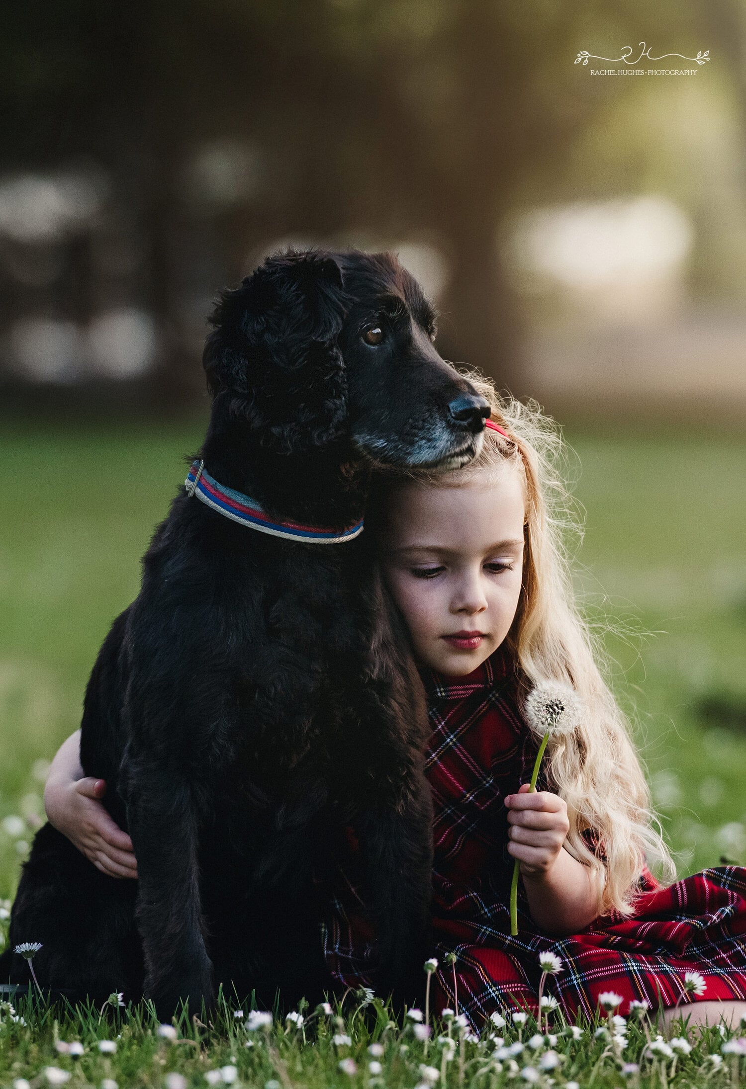 10 Tips for Taking Better Photos of Your Dog | PetaPixel