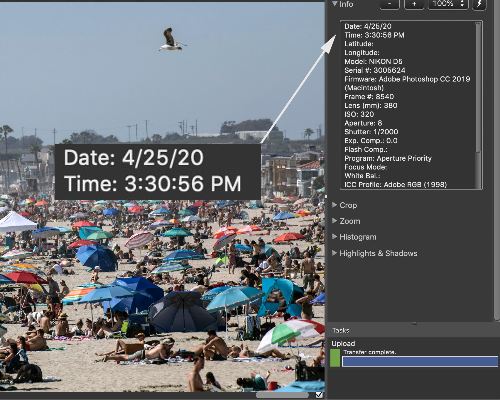 Controversial Photo of 'Crowds' on CA Beach Was Shot with a Telephoto ...