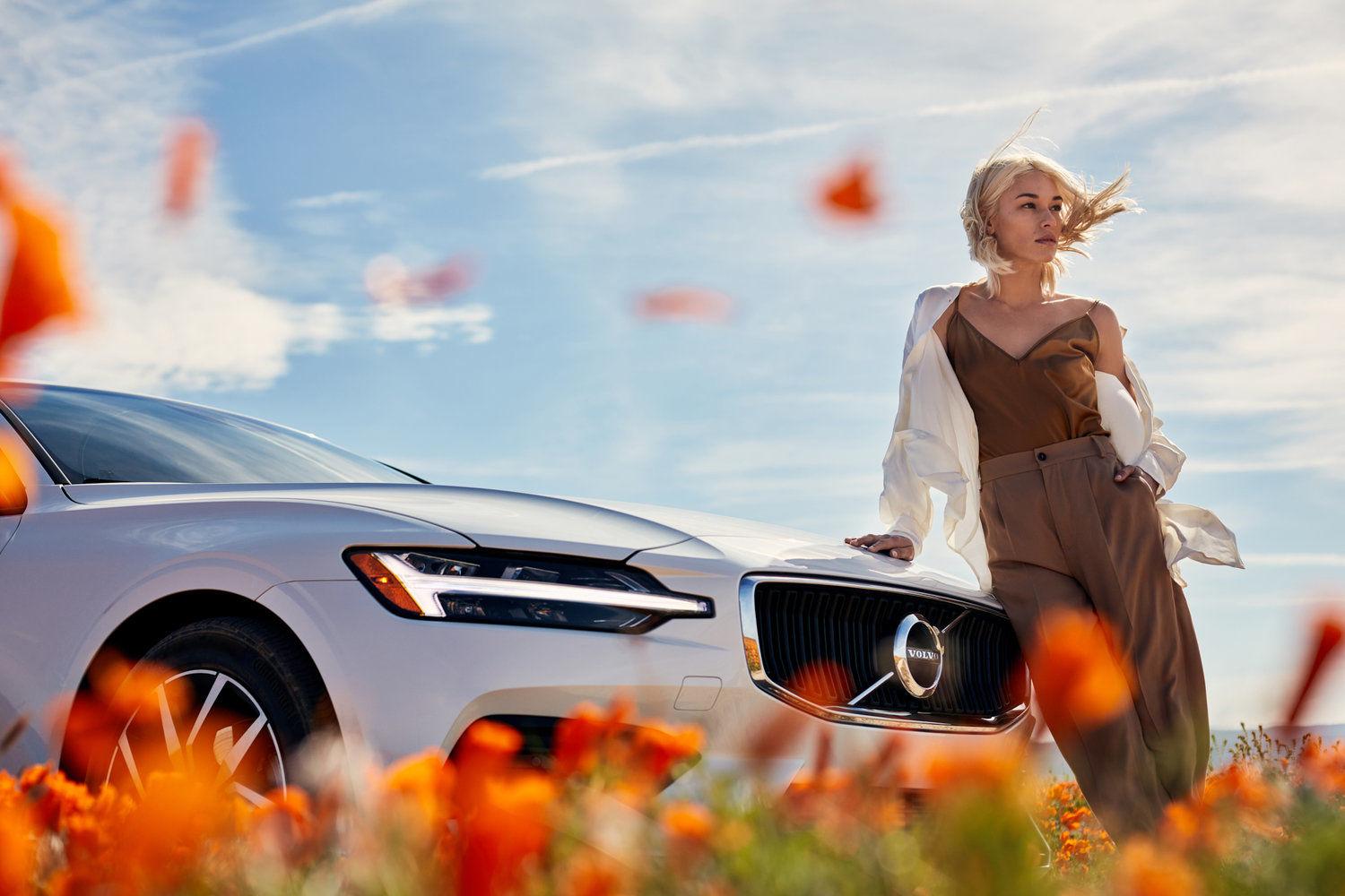 Photographer and Model Sue Volvo for 'Willful and Wanton' Copyright ...