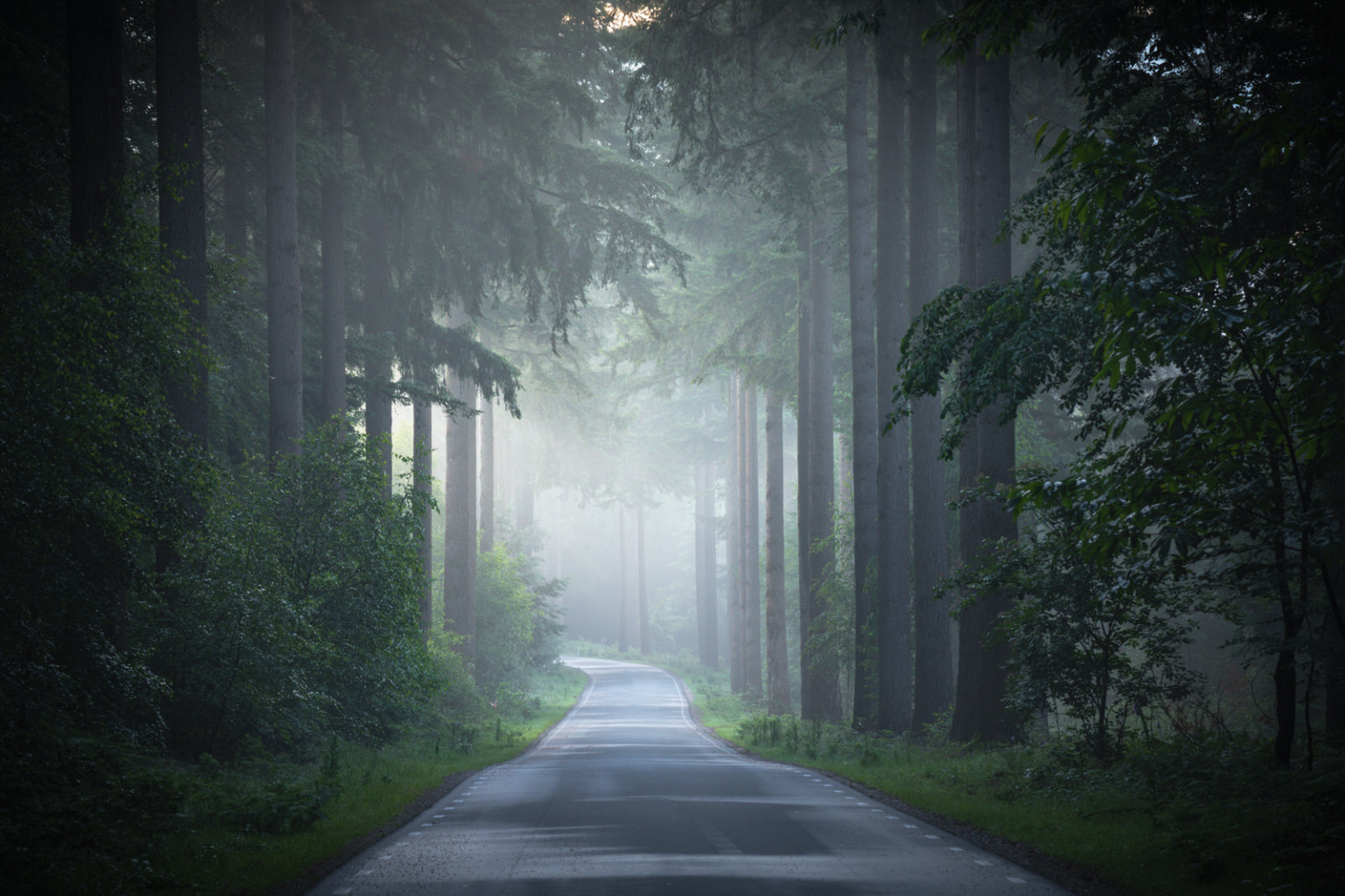 Photos of One Forest in All Seasons | PetaPixel