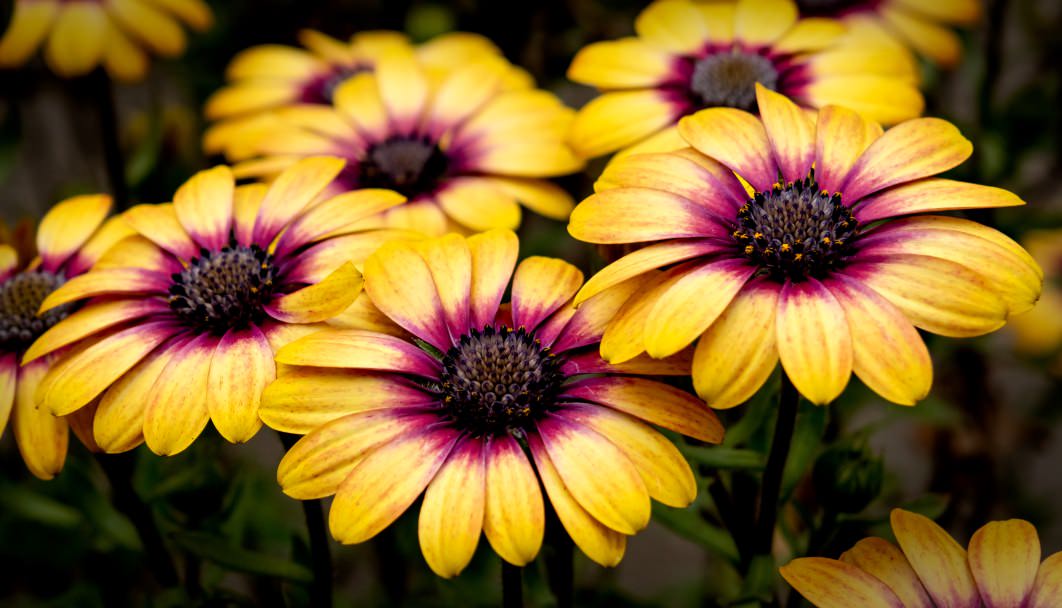 An Introduction to Light in Outdoor Photography