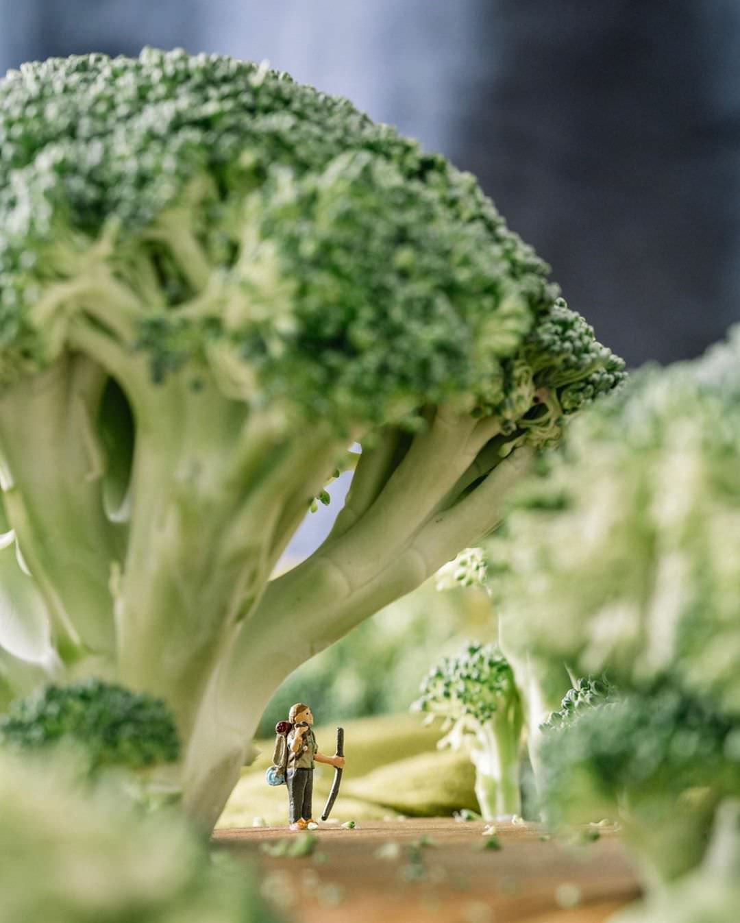 This Photographer is Creating 'Nature' Photos with Household Things ...