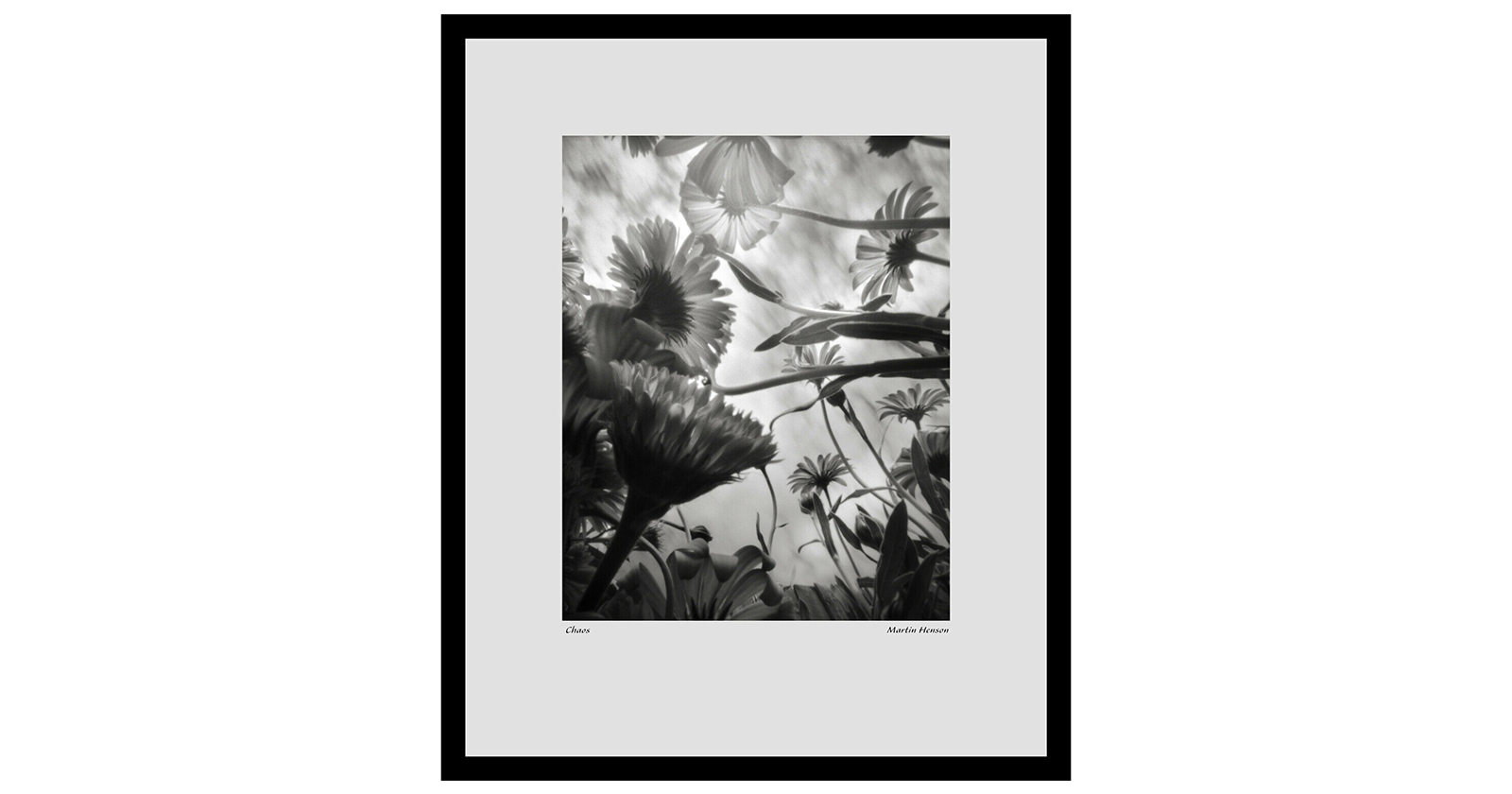 How to Capture Creative, High-Quality Pinhole Photography in Your ...