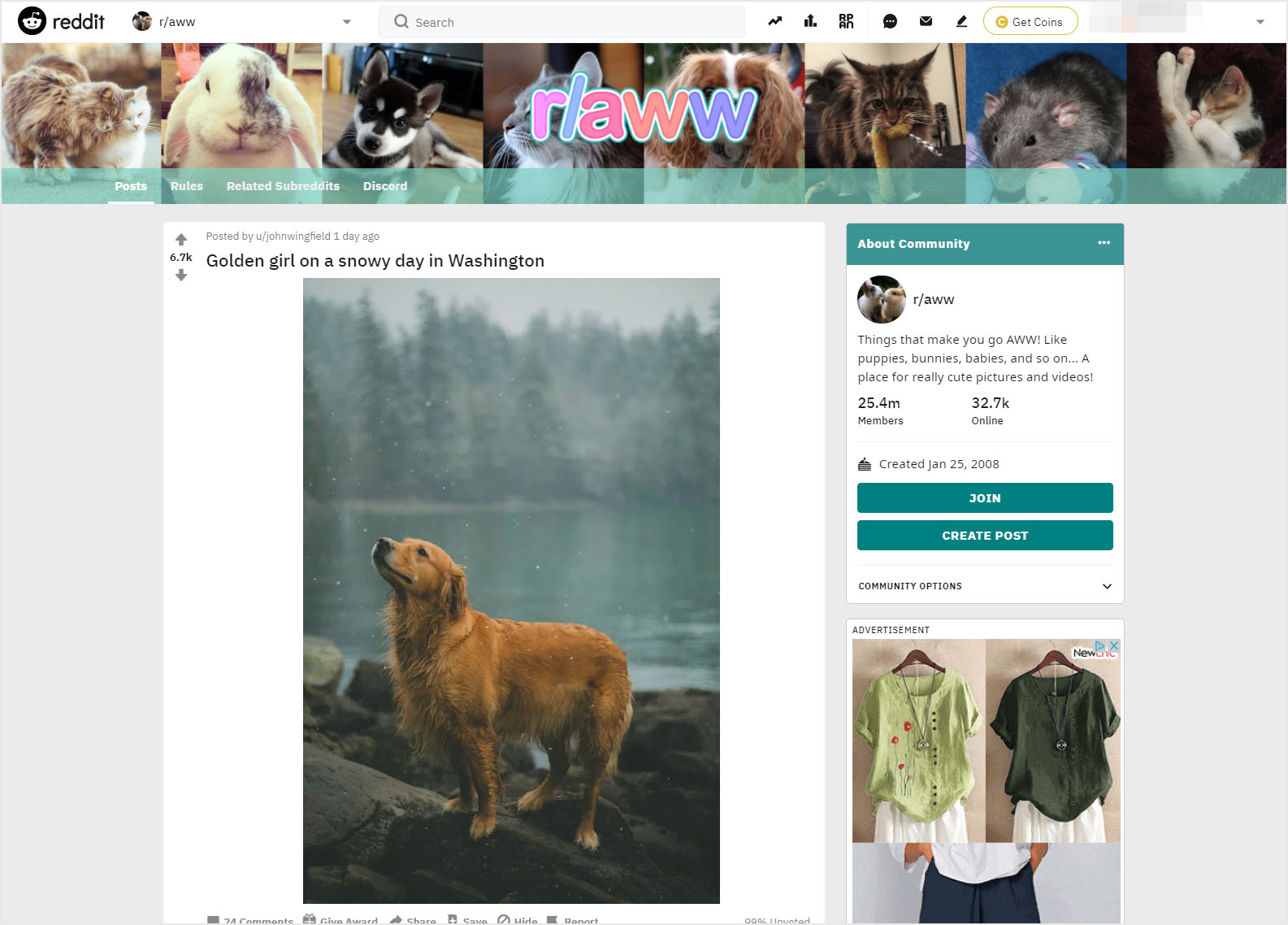 Reddit is Asking to Use Photos in Ads for Free Without Credit | PetaPixel