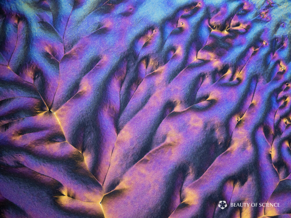This Microscopic Time-Lapse of Chemicals Crystalizing is Hypnotic ...