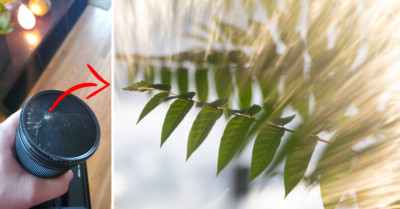 Don't Throw Away Broken Filters, Use Them for In-Camera Effects Instead ...