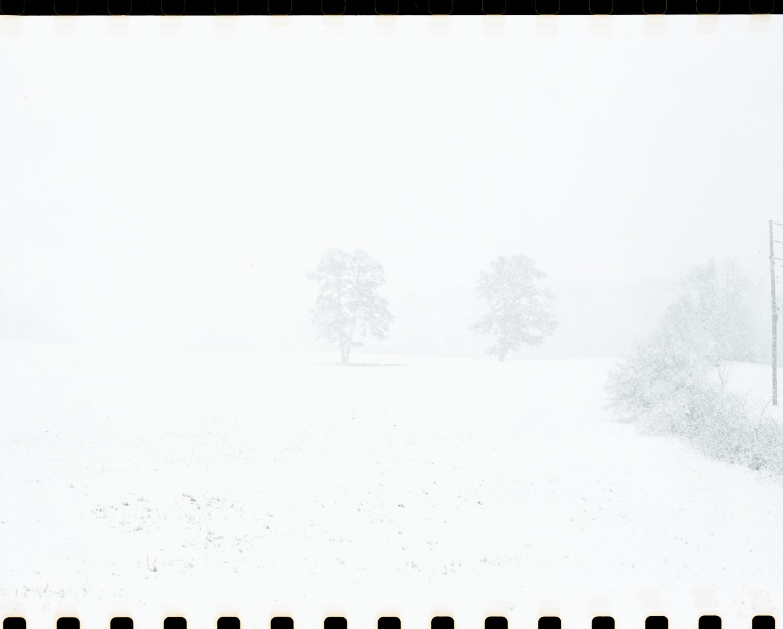 Developing ECN-2 Motion Picture Film at Home | PetaPixel