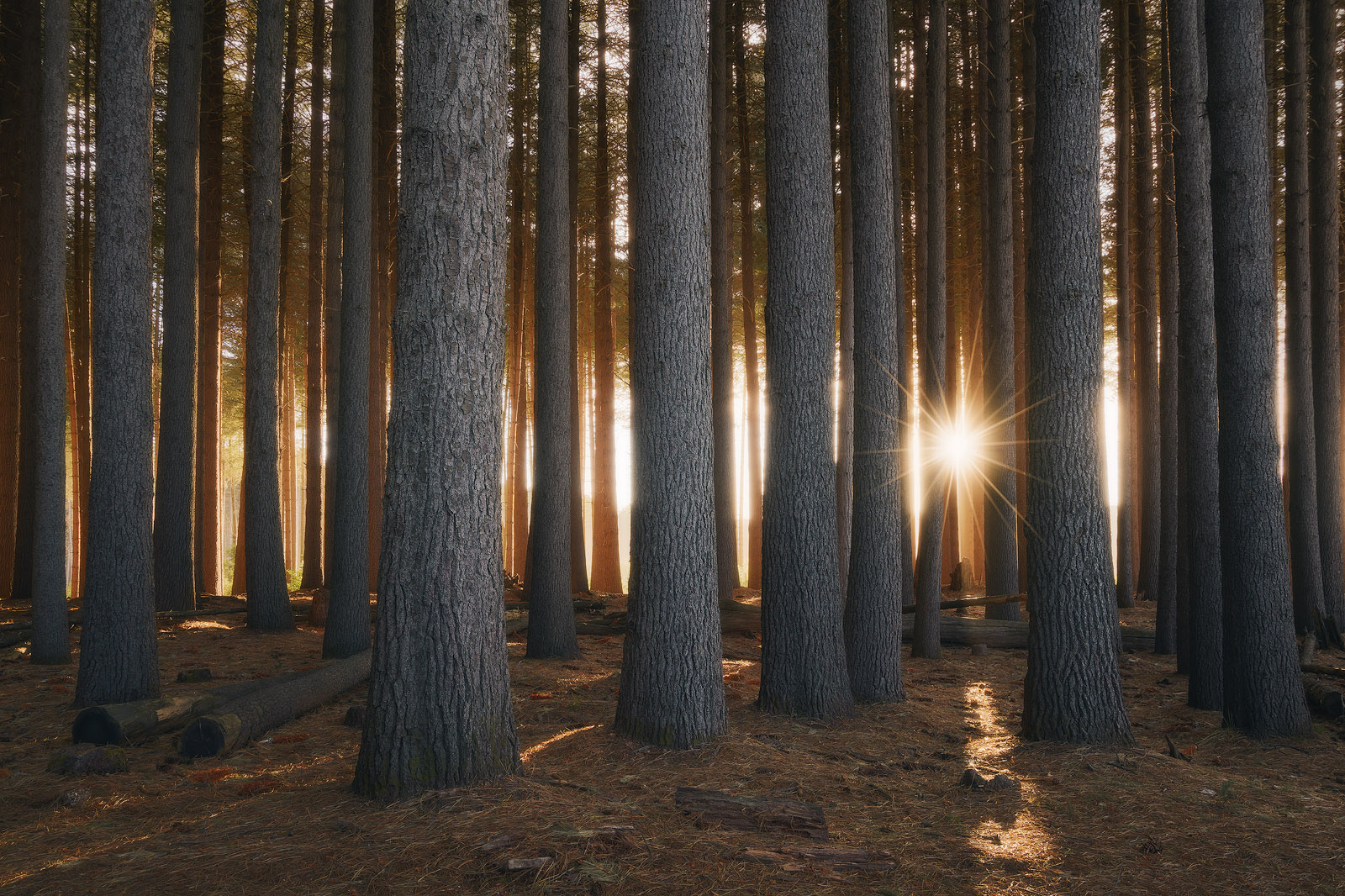 The Power of Transitions: A Theory of Landscape Photography: | PetaPixel