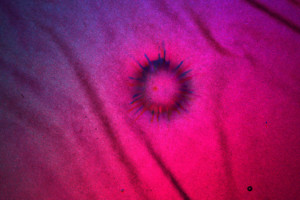 How to Do Water Ripple Tank Shadow Photography | PetaPixel