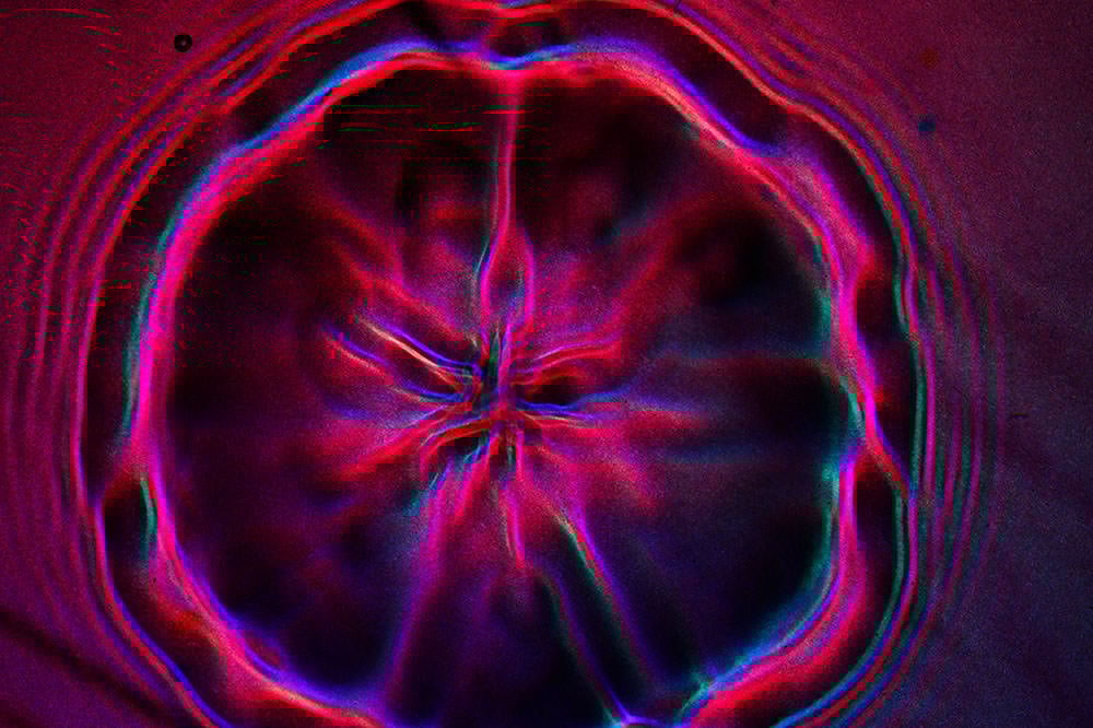 How to Do Water Ripple Tank Shadow Photography | PetaPixel