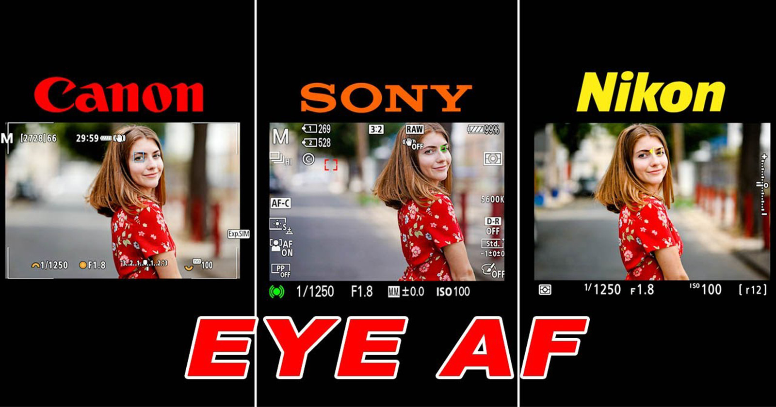 PetaPixel | Page 332 of 1281 | Photography and Camera News, Reviews ...